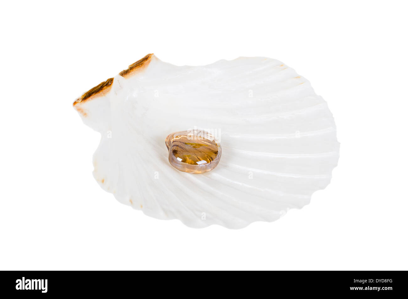 Big glass pearl in ocean shell isolated on a white background Stock ...