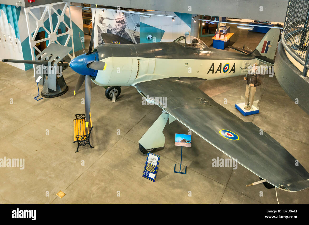 Hawker Sea Fury fighter aircraft at Naval Museum of Alberta section of ...