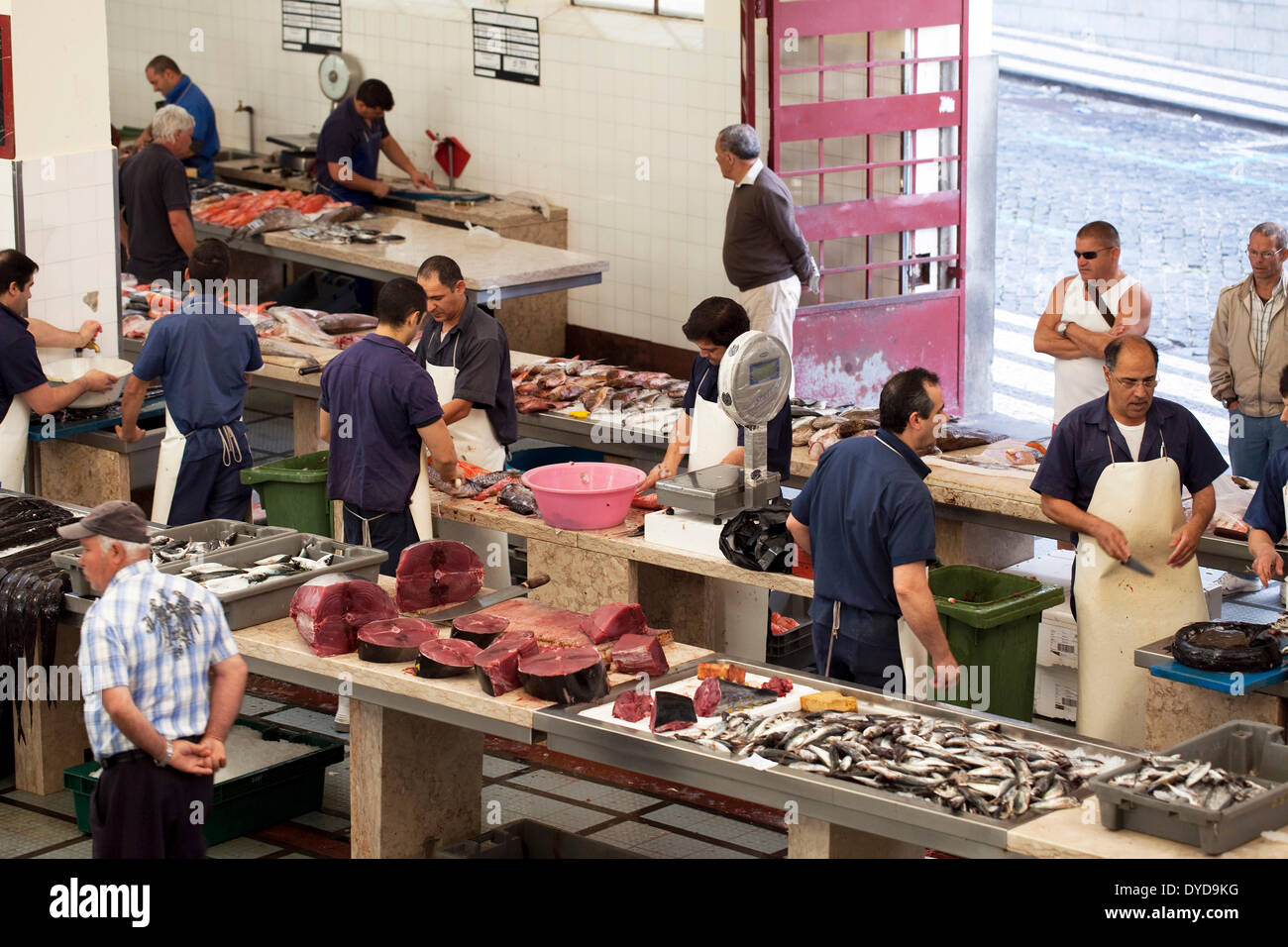 Fish Market, Mercado dos Lavradores, Funchal, Madeira, Portugal Stock ...