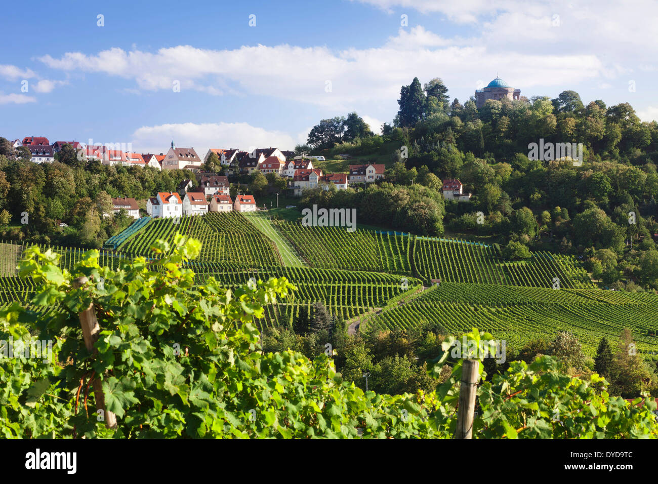 Stuttgart rotenberg hi-res stock photography and images - Alamy