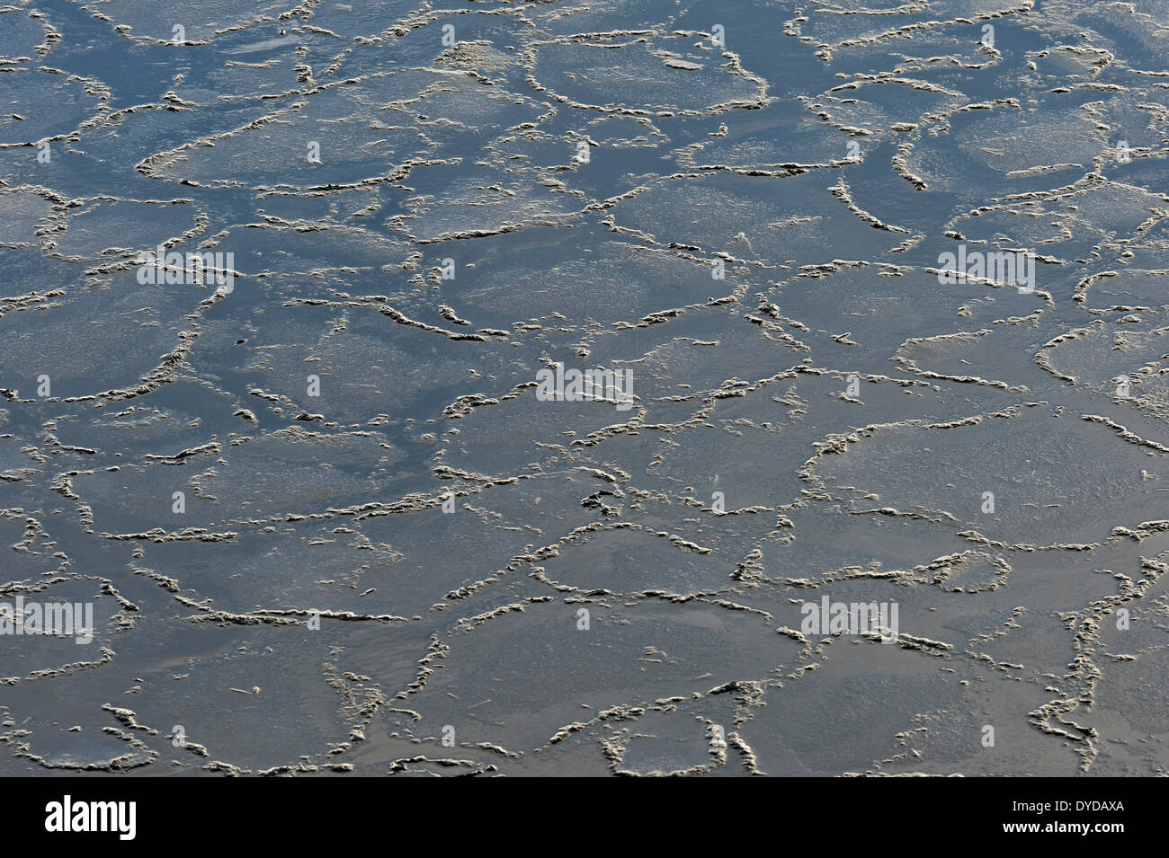 Pancake ice, edge of pack-ice, Arctic Ocean, Spitsbergen Island ...