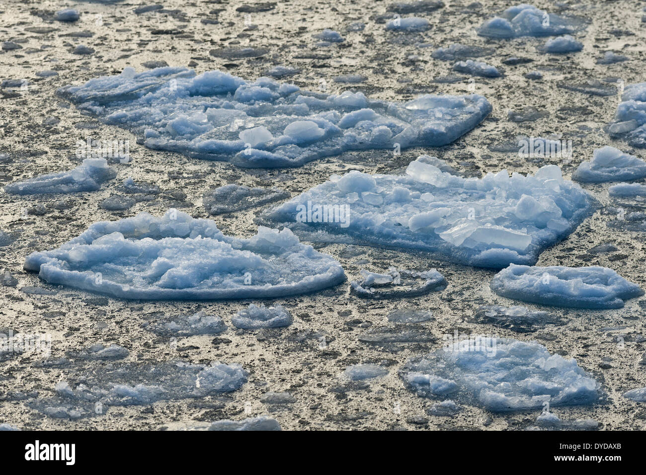 Small icebergs, edge of pack-ice, Arctic Ocean, Spitsbergen Island ...