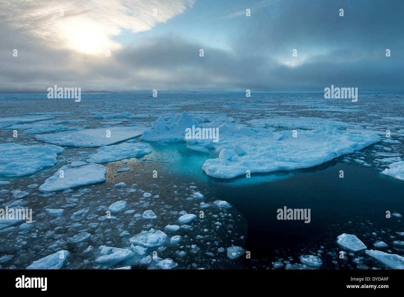 Ice floes, edge of pack-ice, Arctic Ocean, Spitsbergen Island, Svalbard ...