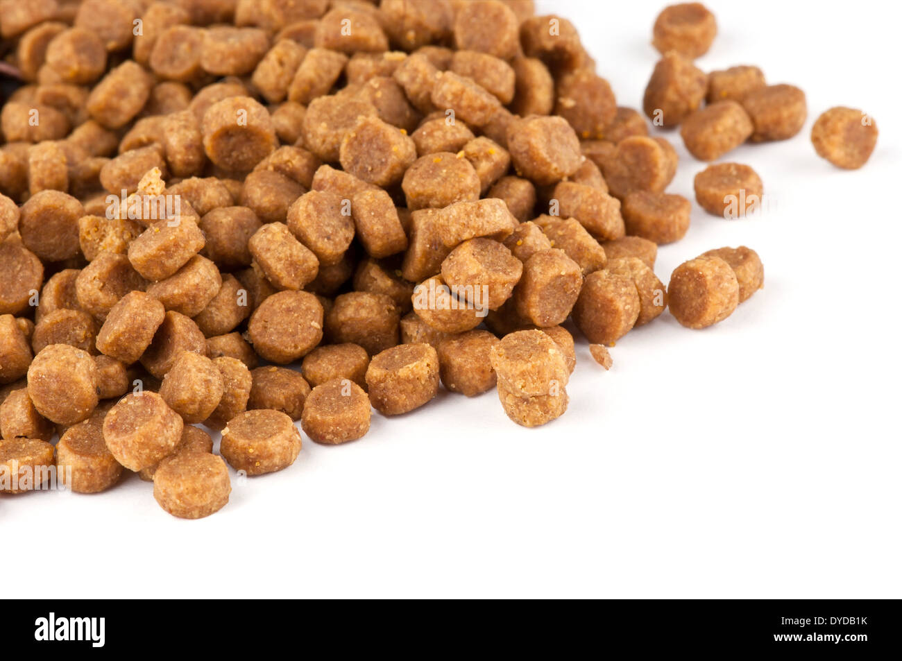 Cat food on white background Stock Photo - Alamy