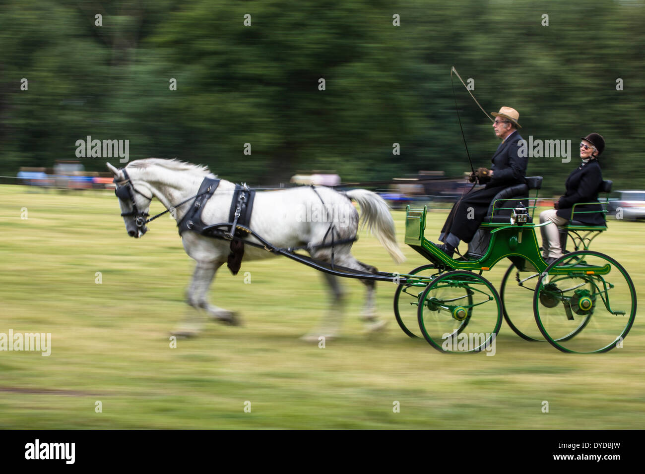 Carriage_driving hi-res stock photography and images - Alamy