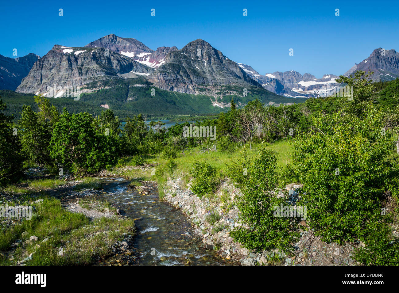 Swiftcurrent mountain hi-res stock photography and images - Alamy