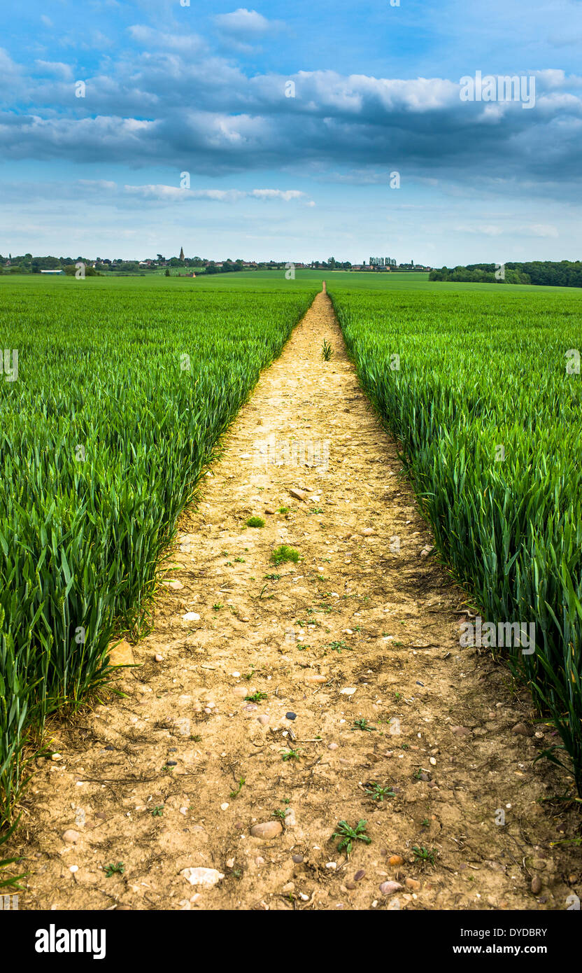Straight footpath hi-res stock photography and images - Alamy