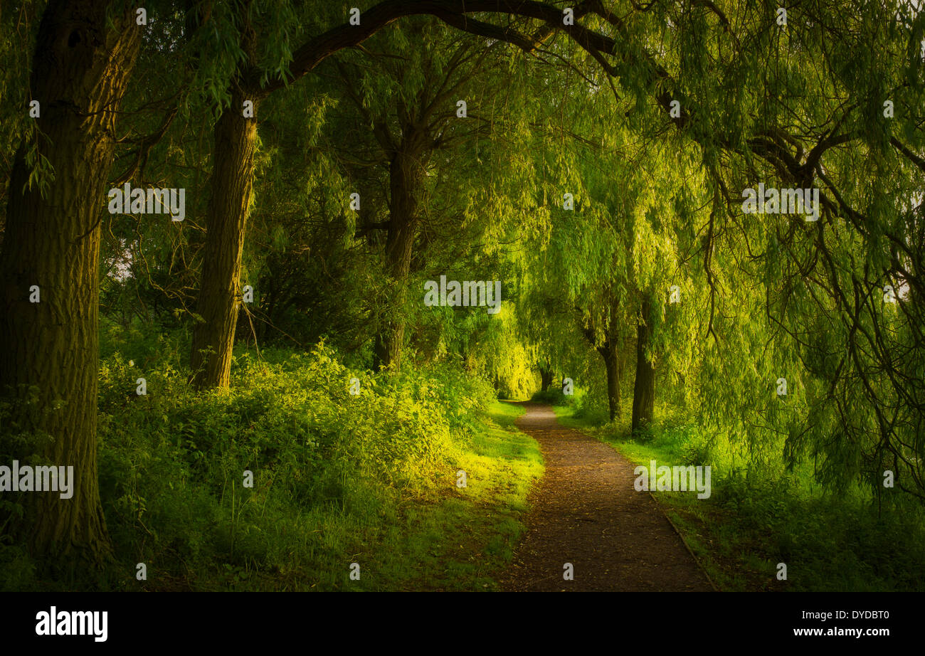 Overhanging path hi-res stock photography and images - Alamy