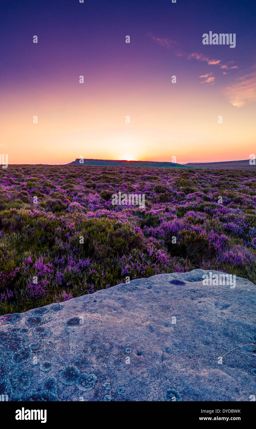 Sunset over Derbyshire heather moorland Stock Photo - Alamy