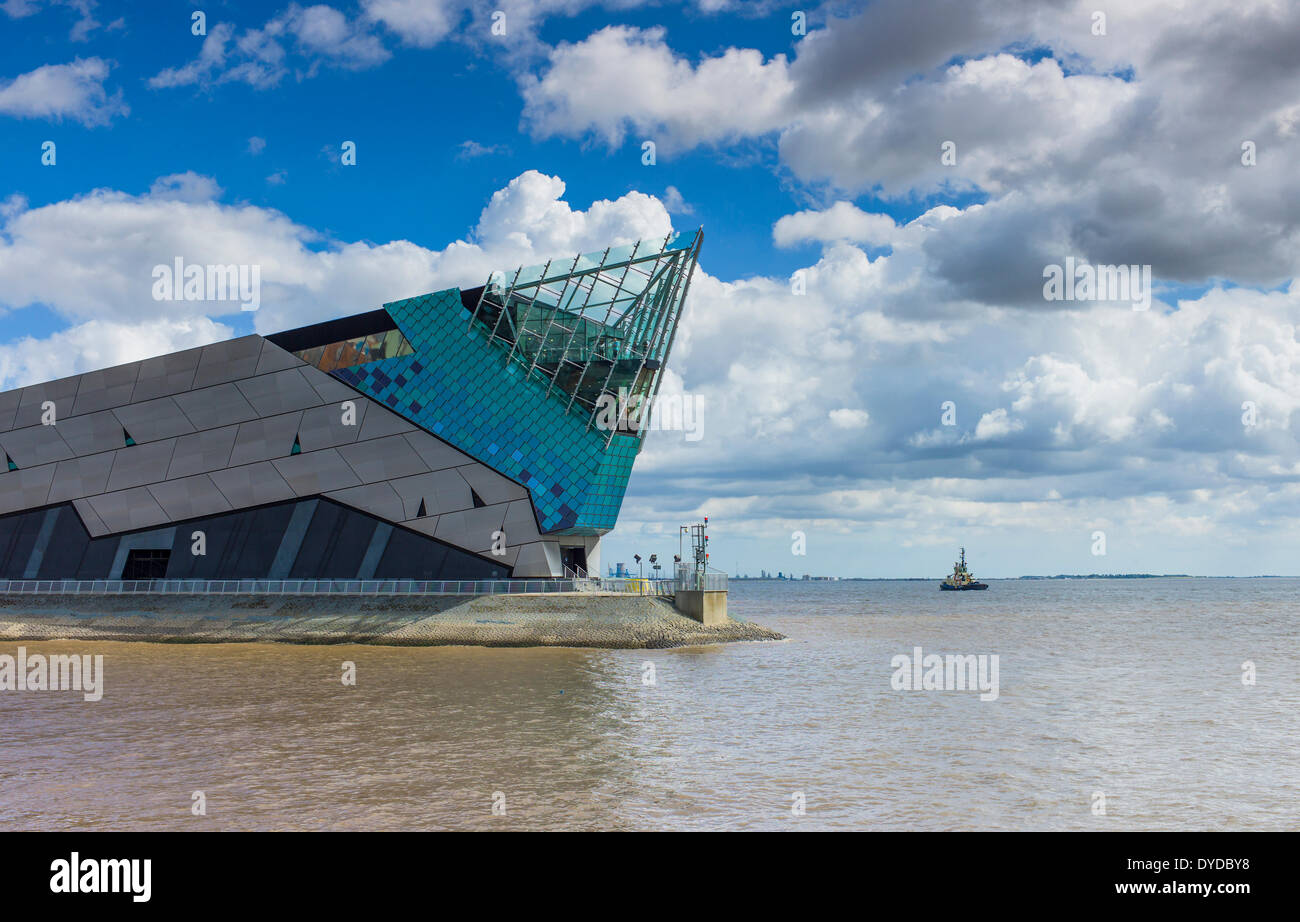 The Deep in Hull is one of the most spectacular aquariums in the world ...