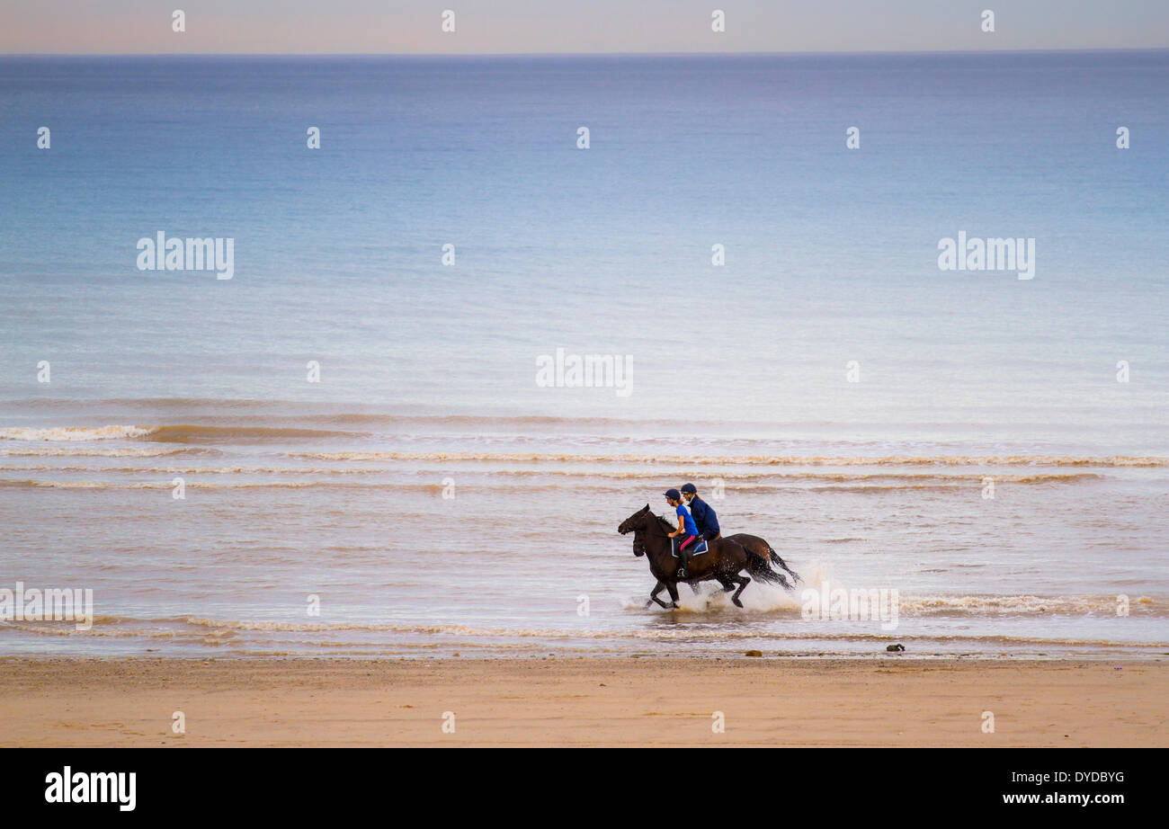 Race horses galloping along a beach hi-res stock photography and images ...