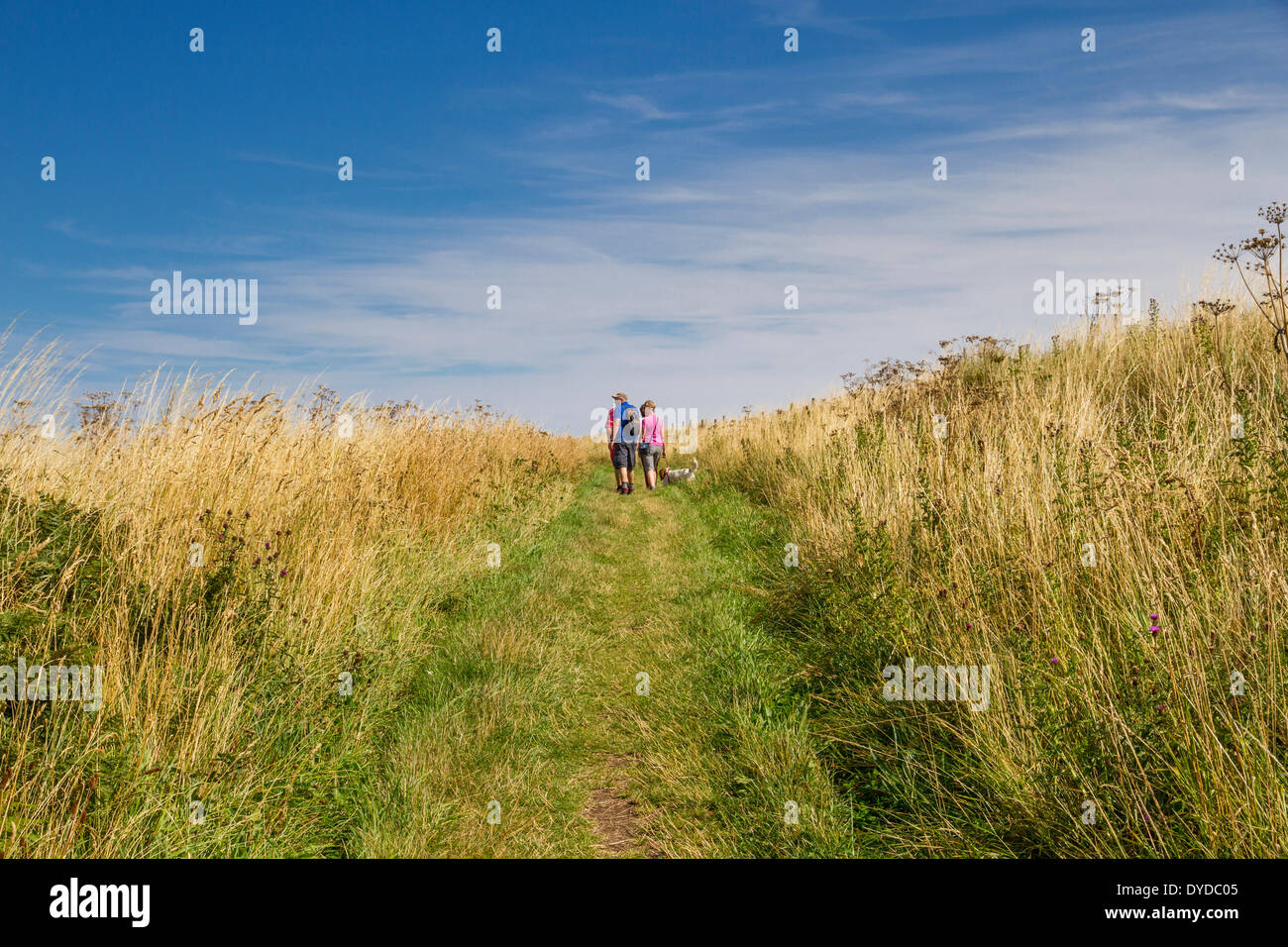 Walkers on the Cleveland Way Stock Photo - Alamy