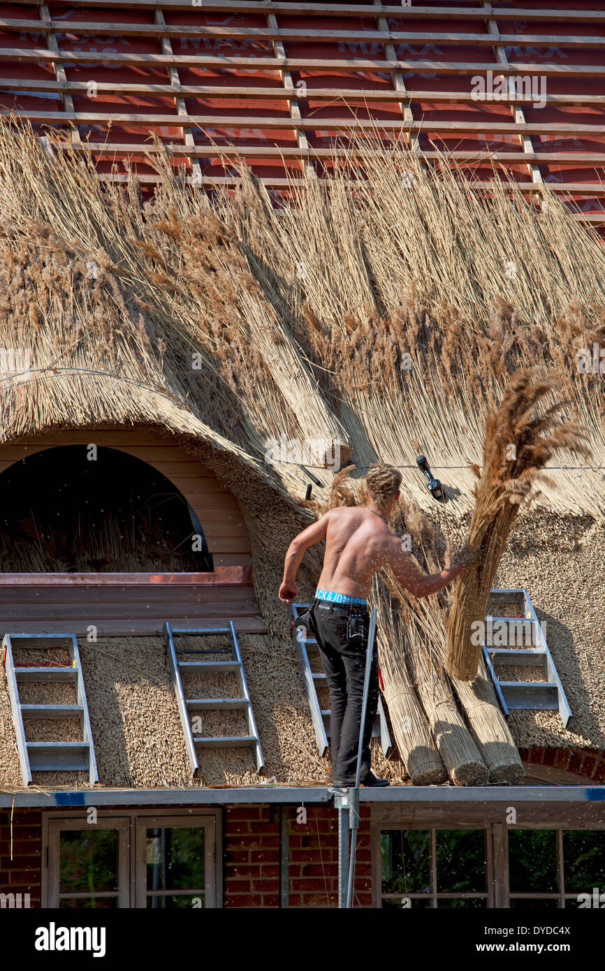 Roof Thatch Reed Traditional High Resolution Stock Photography and ...