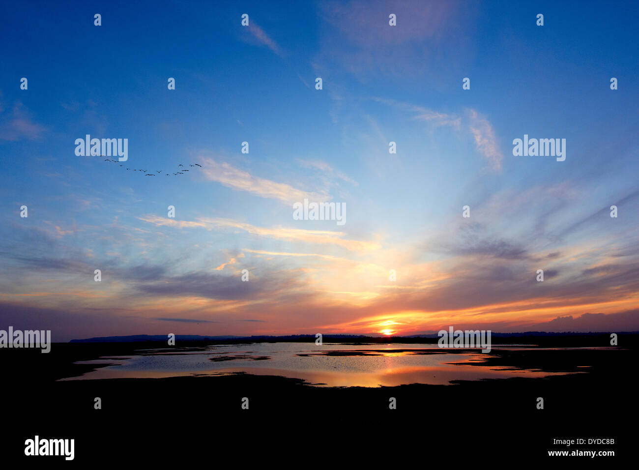 A view of Rye Harbour Nature Reserve at sunset Stock Photo - Alamy
