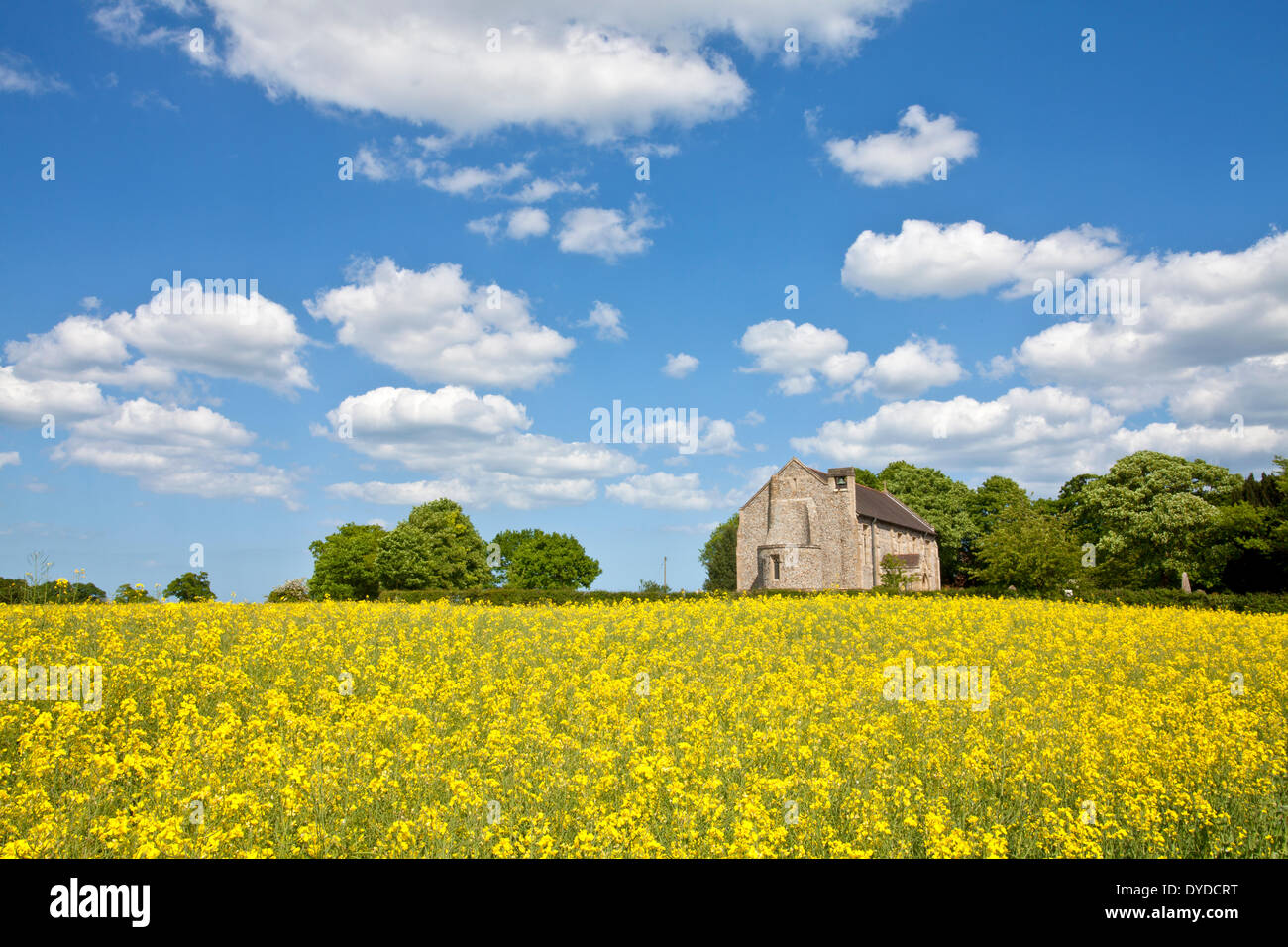Dilham Church in the Norfolk countryside Stock Photo - Alamy