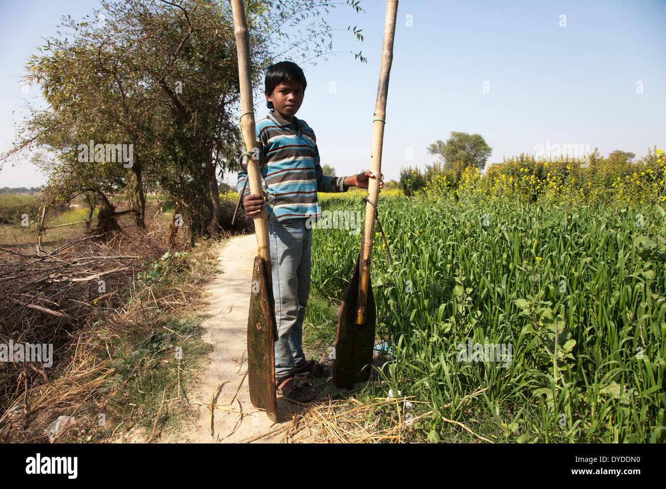 Two Oars High Resolution Stock Photography and Images - Alamy