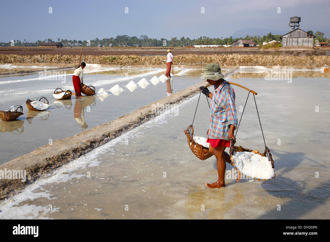 Workers extracting salt near Kampot Stock Photo - Alamy