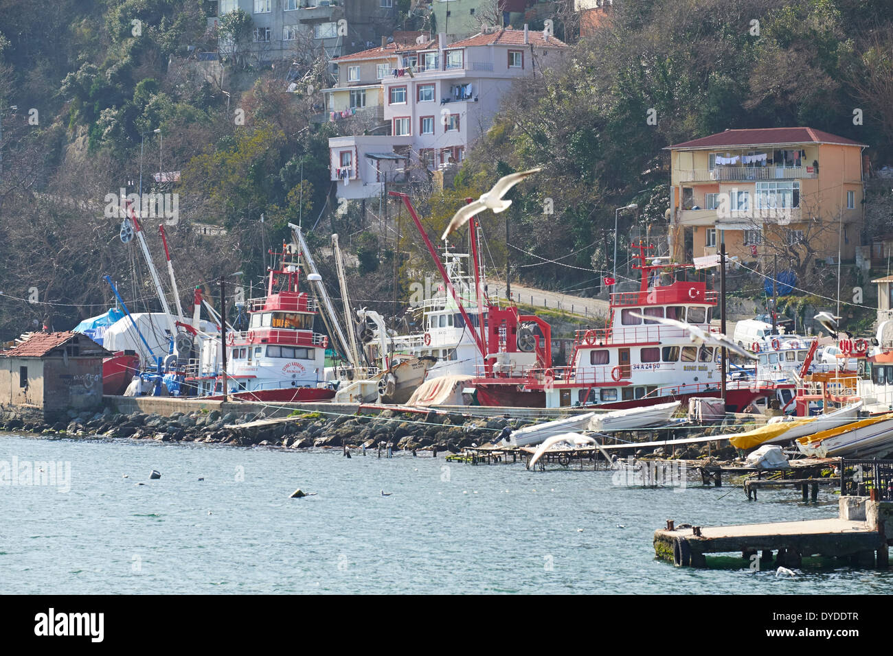 The fishing village of Rumeli Kavagi on the Bosphorus Strait,Istanbul ...