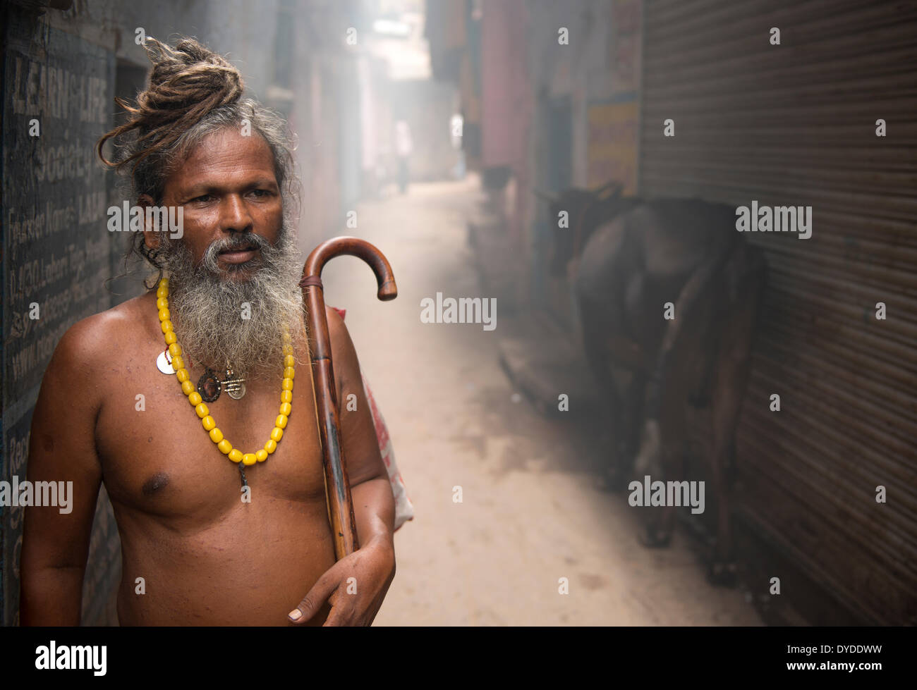 Portrait of a sadhu or holy man Stock Photo - Alamy
