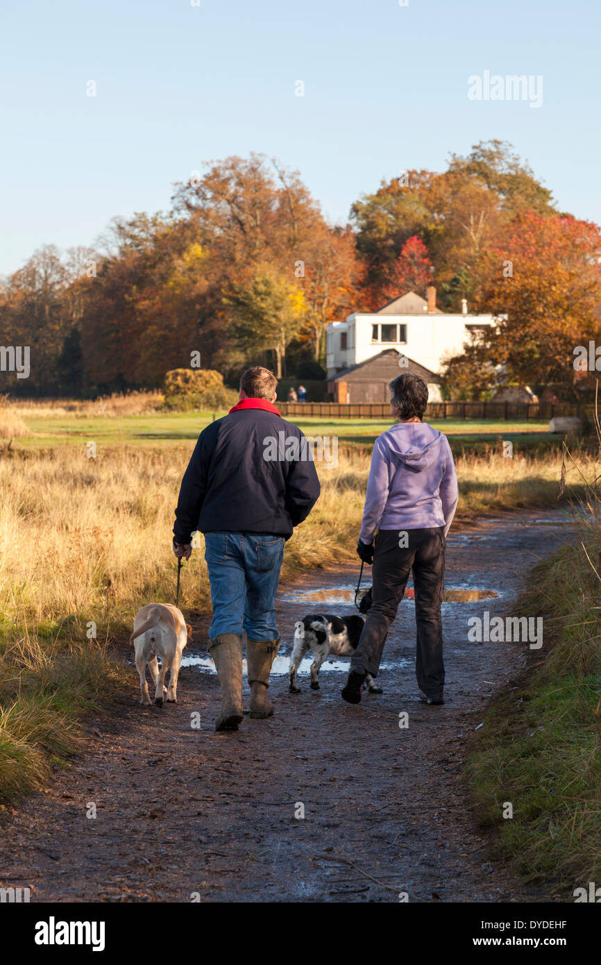 Women walking men on leash hi-res stock photography and images - Alamy