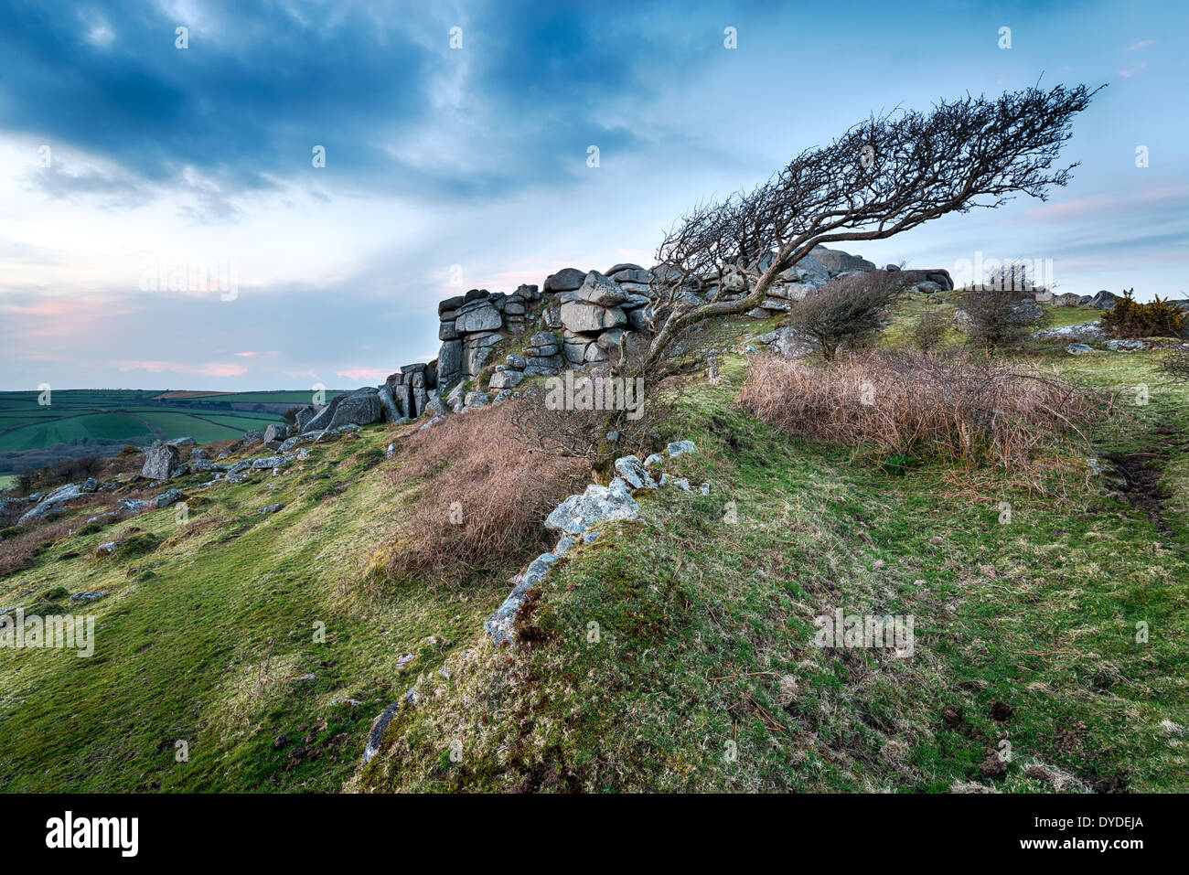 Helman tor nature reserve hi-res stock photography and images - Alamy