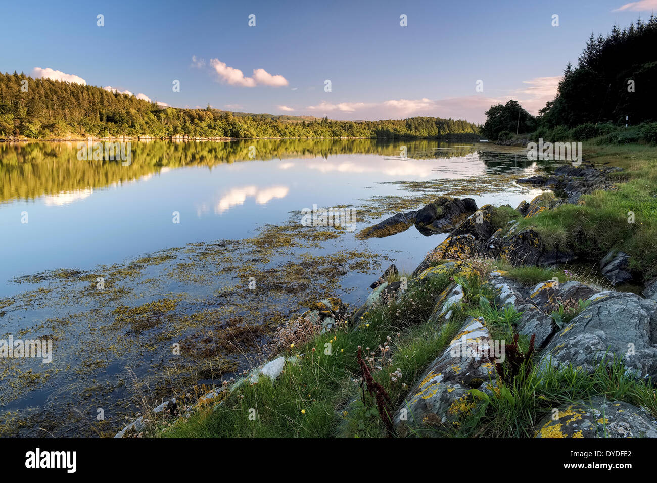 Sween hi-res stock photography and images - Alamy