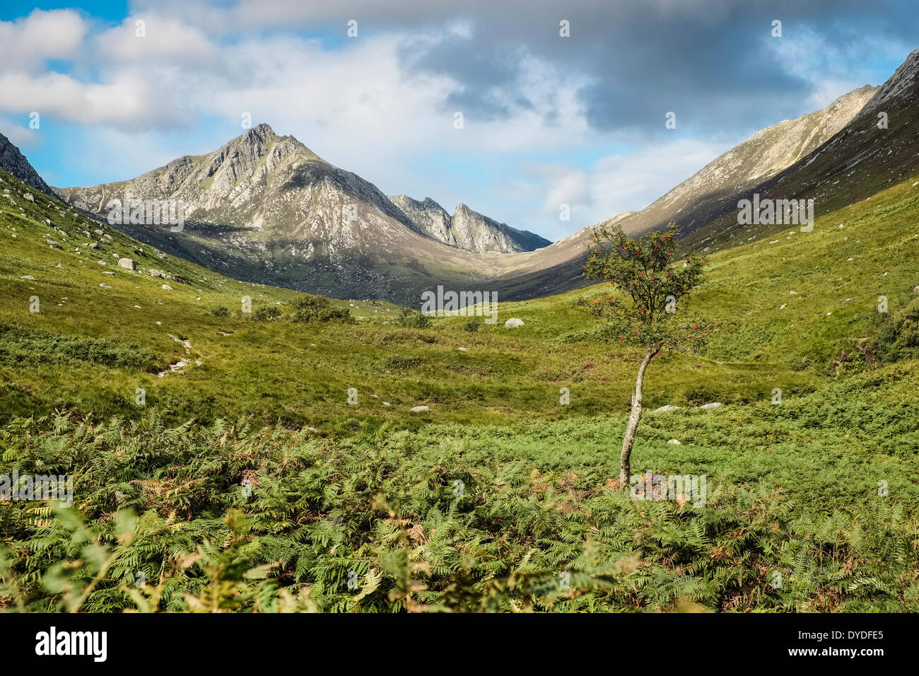 The summit of Cir Mhor seen from Glen Rosa Stock Photo - Alamy