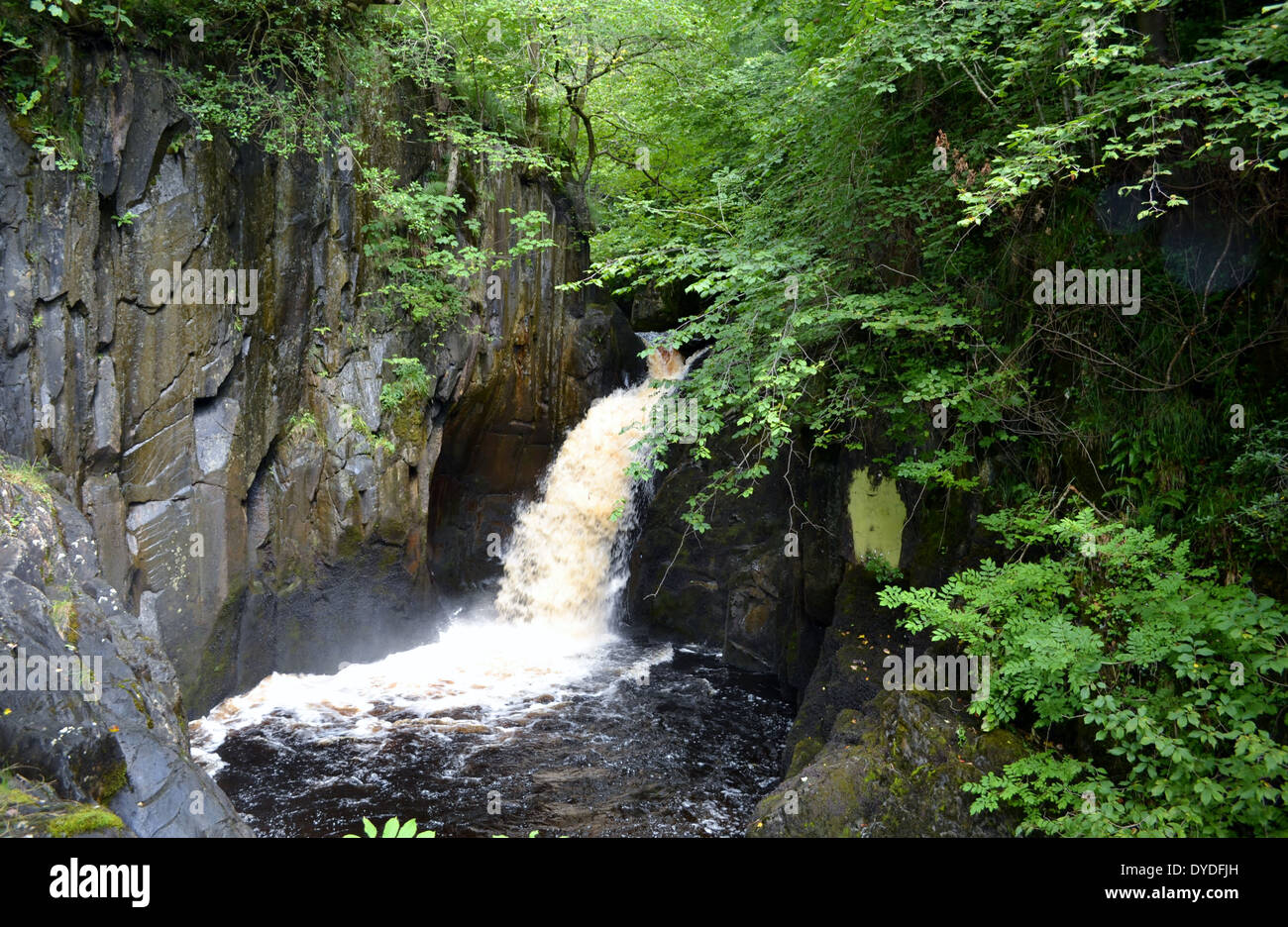An afternoon at Ingleton Falls in Yorkshire, taking in the waterfalls ...