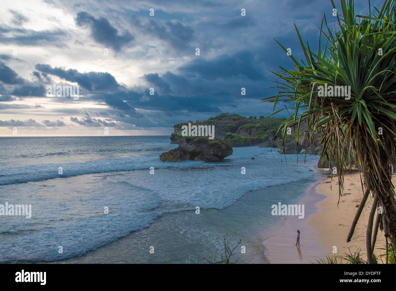 A view of Kukup beach in Indonesia Stock Photo - Alamy