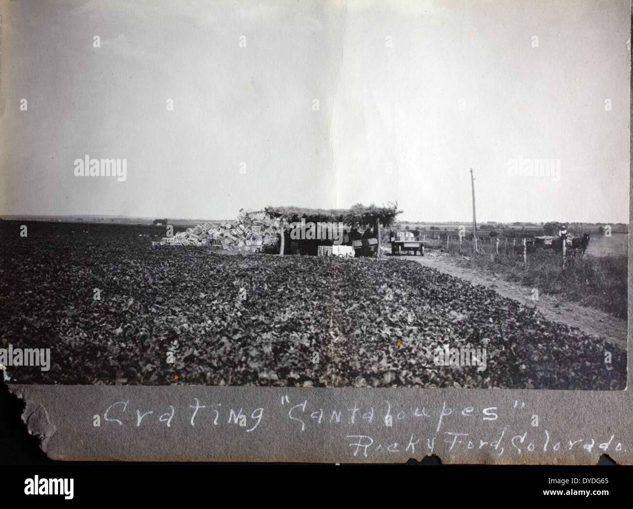 Louis M. Seeman was a notable figure in aviation, with connections to ...