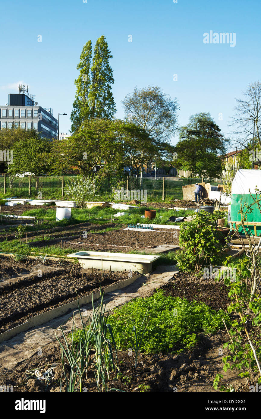 Renting allotment hi-res stock photography and images - Alamy