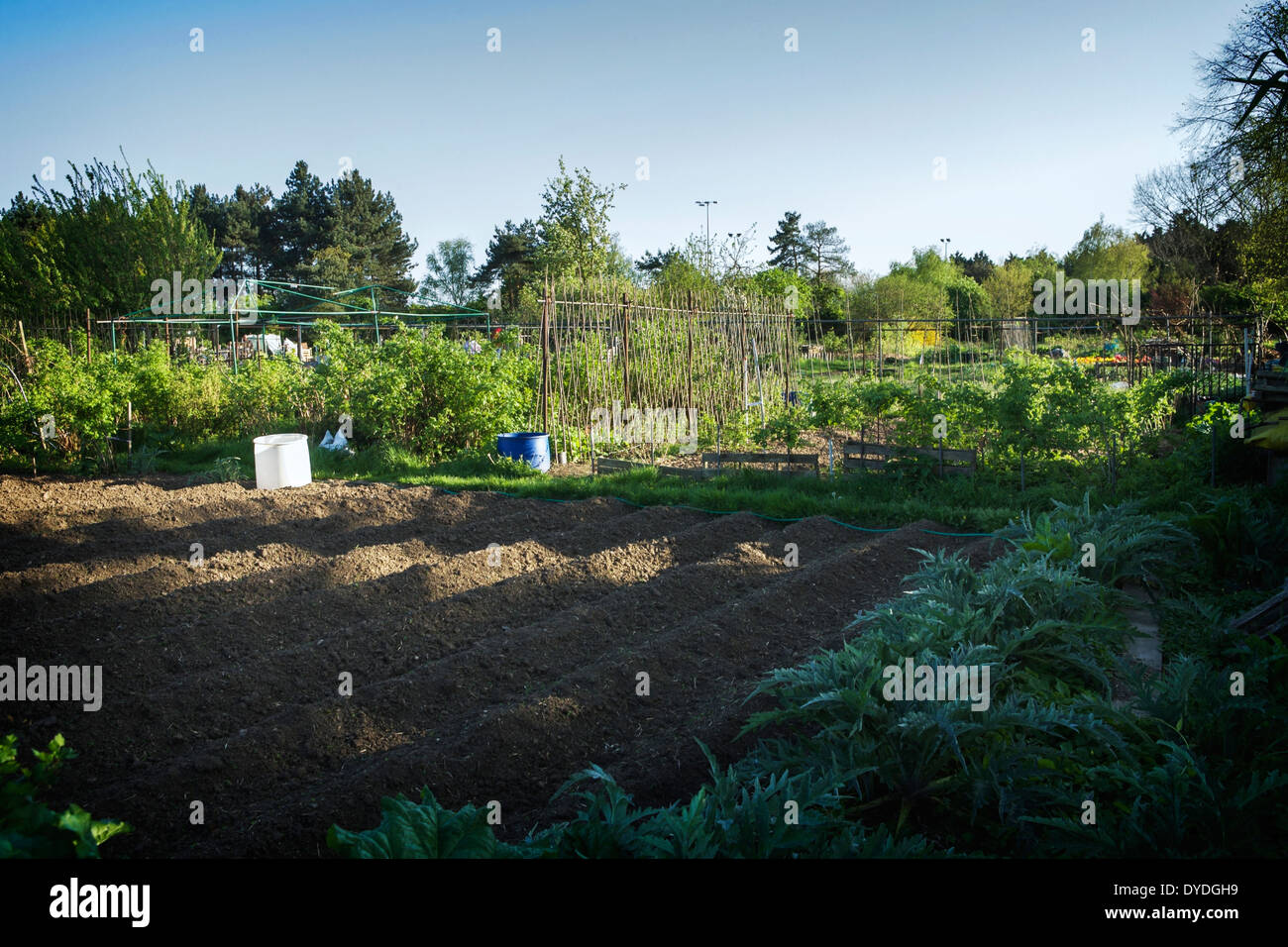 Renting allotment hi-res stock photography and images - Alamy