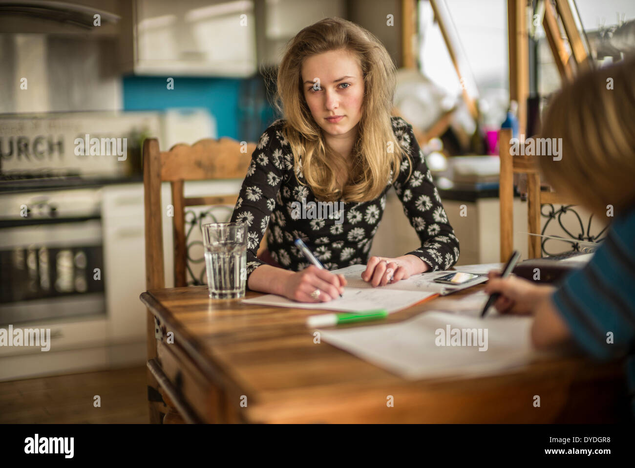 A 16 year old girl doing math homework on the kitchen table Stock Photo ...