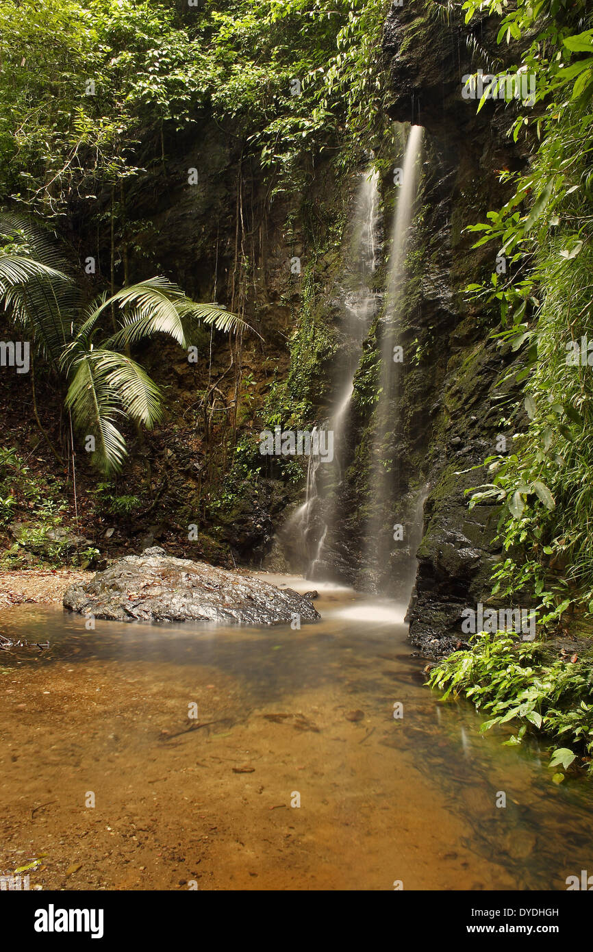 Asia national park rain forest tropics plants waterfall vegetation ...