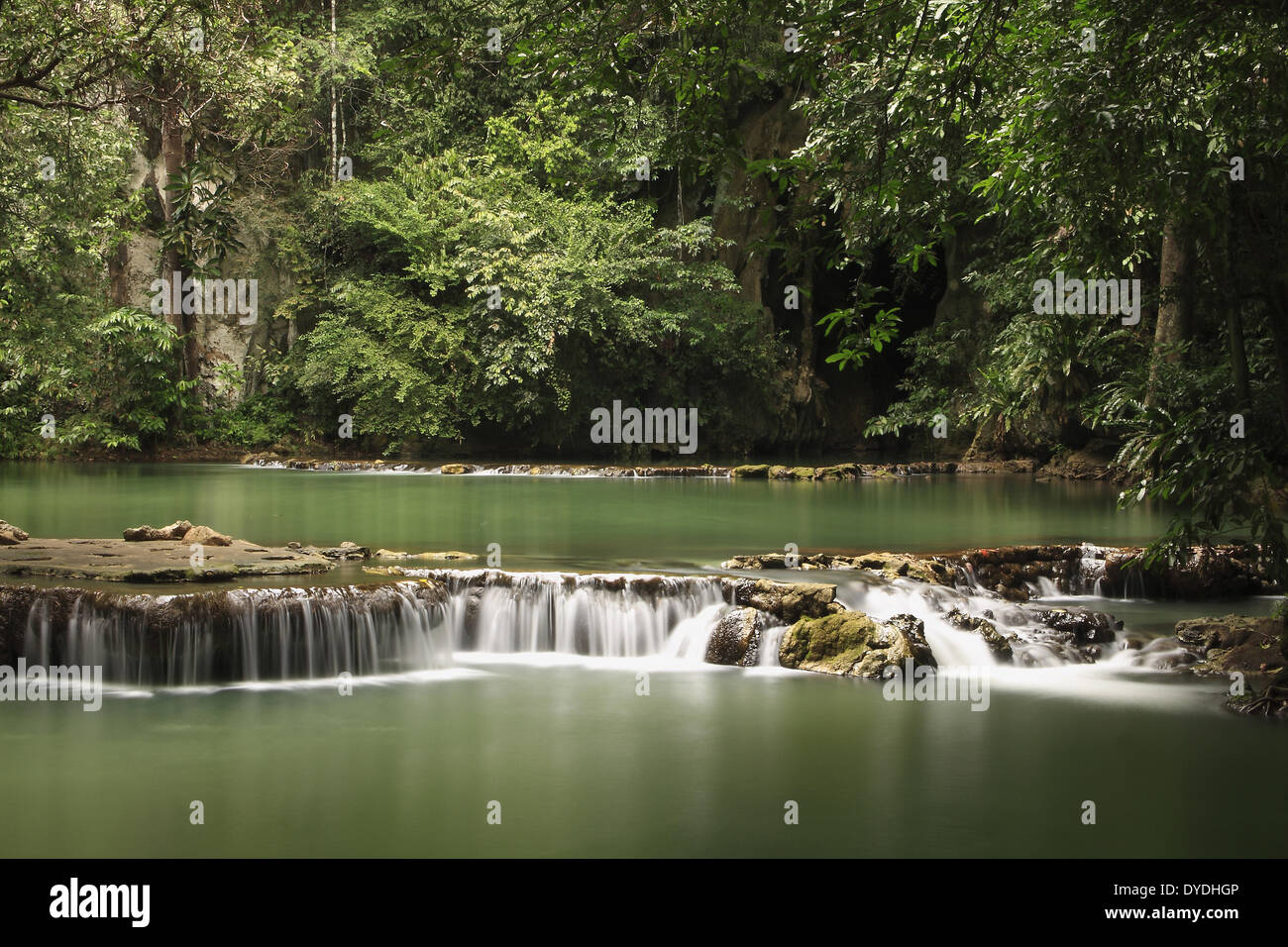 Asia national park rain forest tropics plants waterfall vegetation ...