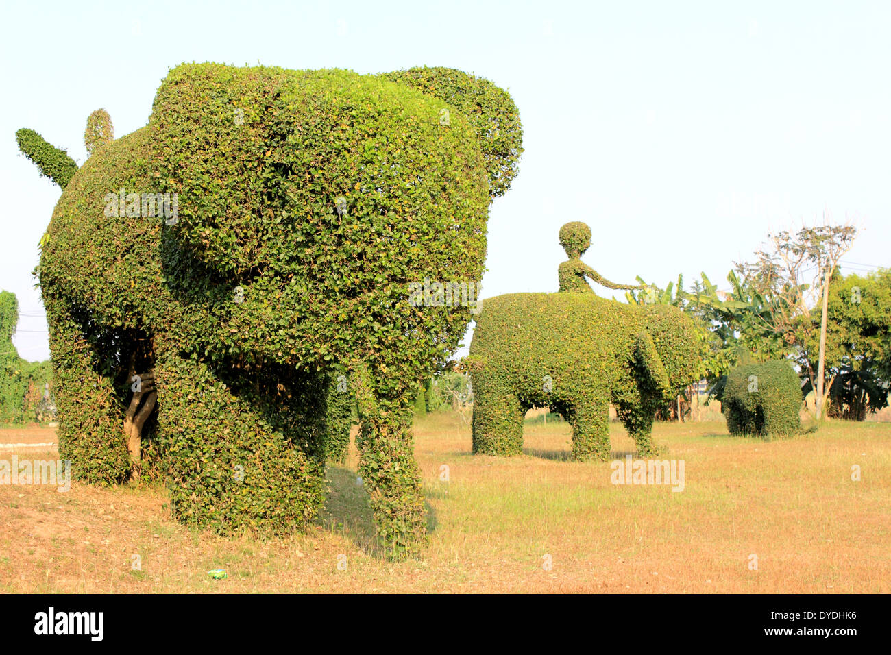 The shape nature leaf animals trees bending Stock Photo - Alamy