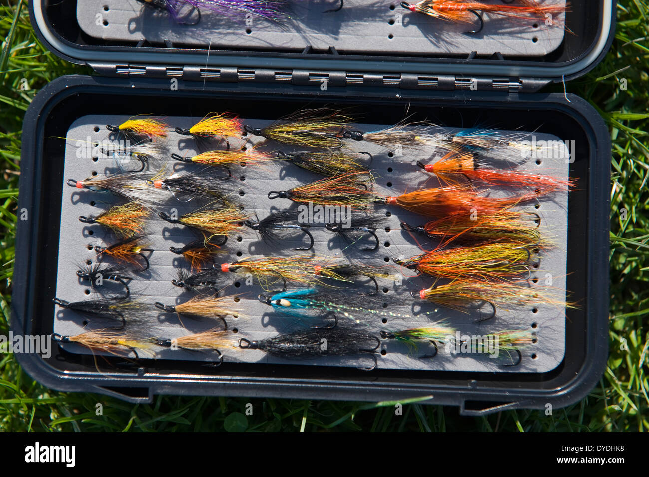 Box of artificial flies for salmon fishing Stock Photo - Alamy