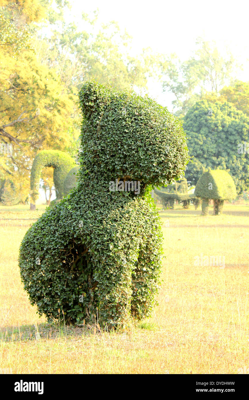 The shape nature leaf animals trees bending Stock Photo - Alamy