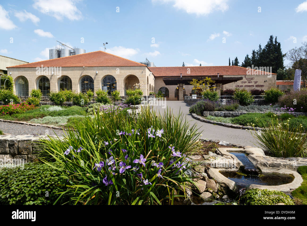 The Golan Heights Winery at the Golan Heights, Israel Stock Photo - Alamy
