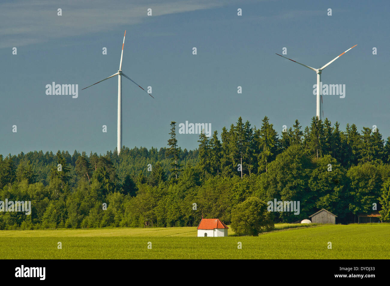 Palling hi-res stock photography and images - Alamy