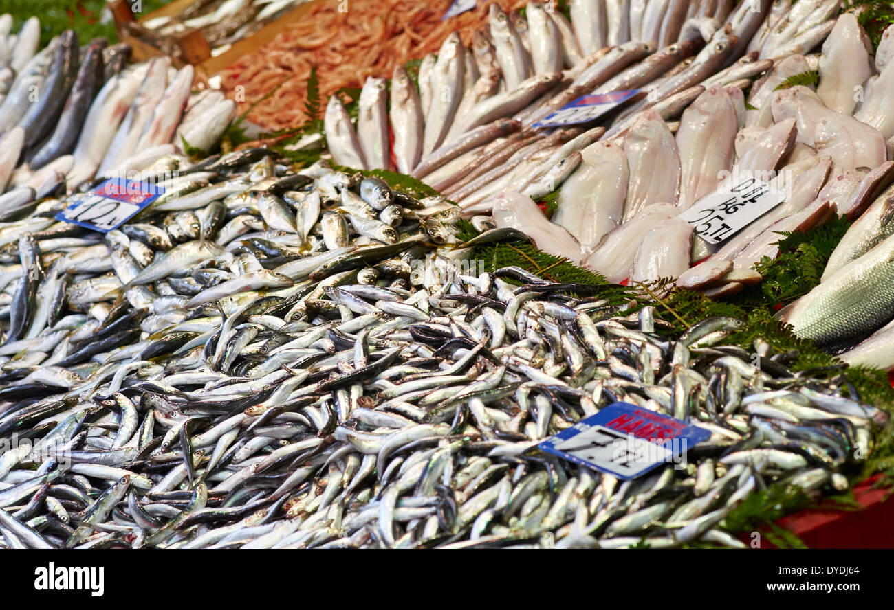 Fish trader at one of the open markets in, Istanbul, Turkey Stock Photo ...