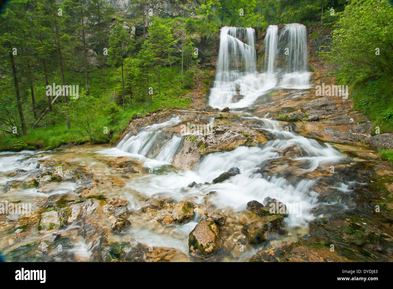 Bavaria Germany Europe Berchtesgaden area Schneizlreuth white brook ...