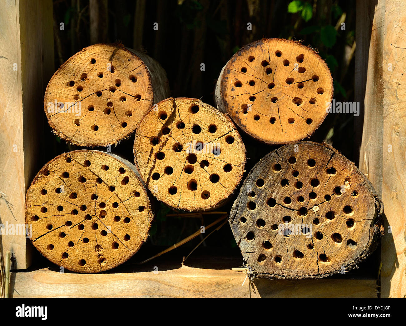 Hotel insectes hi-res stock photography and images - Alamy