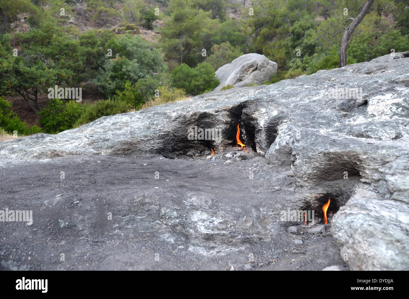 flame fire chimaera chimera gas natural gas flames ignite nature ...