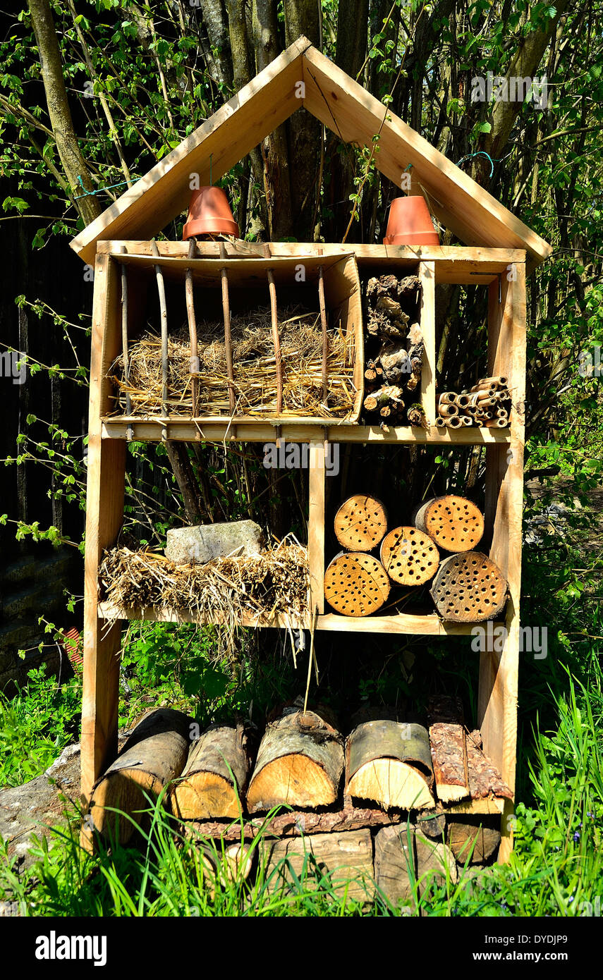 Insect hotel for wild bees and other insect Stock Photo - Alamy