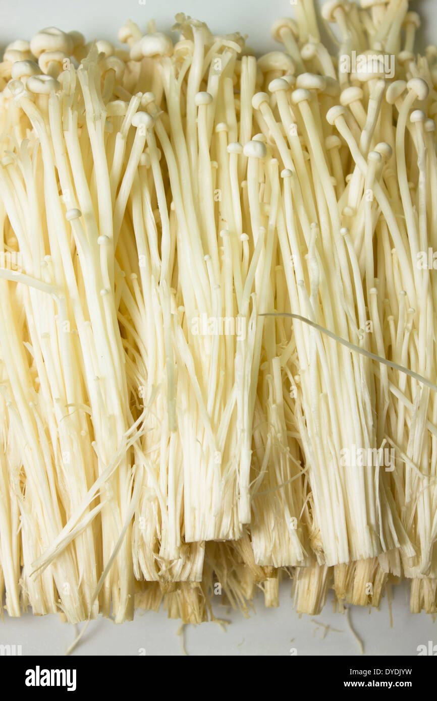 Golden needle mushrooms hi-res stock photography and images - Alamy