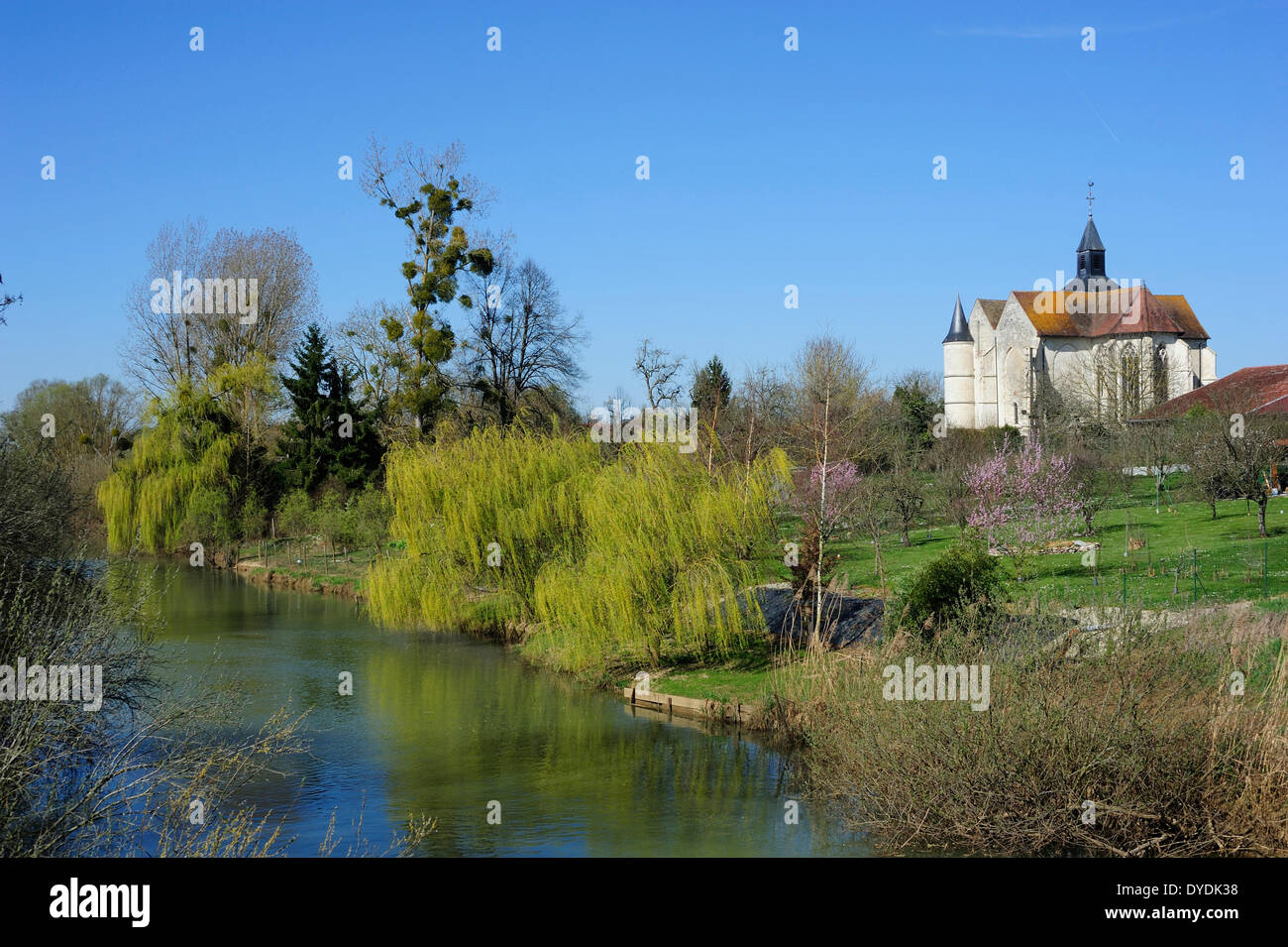 Voire hi-res stock photography and images - Alamy