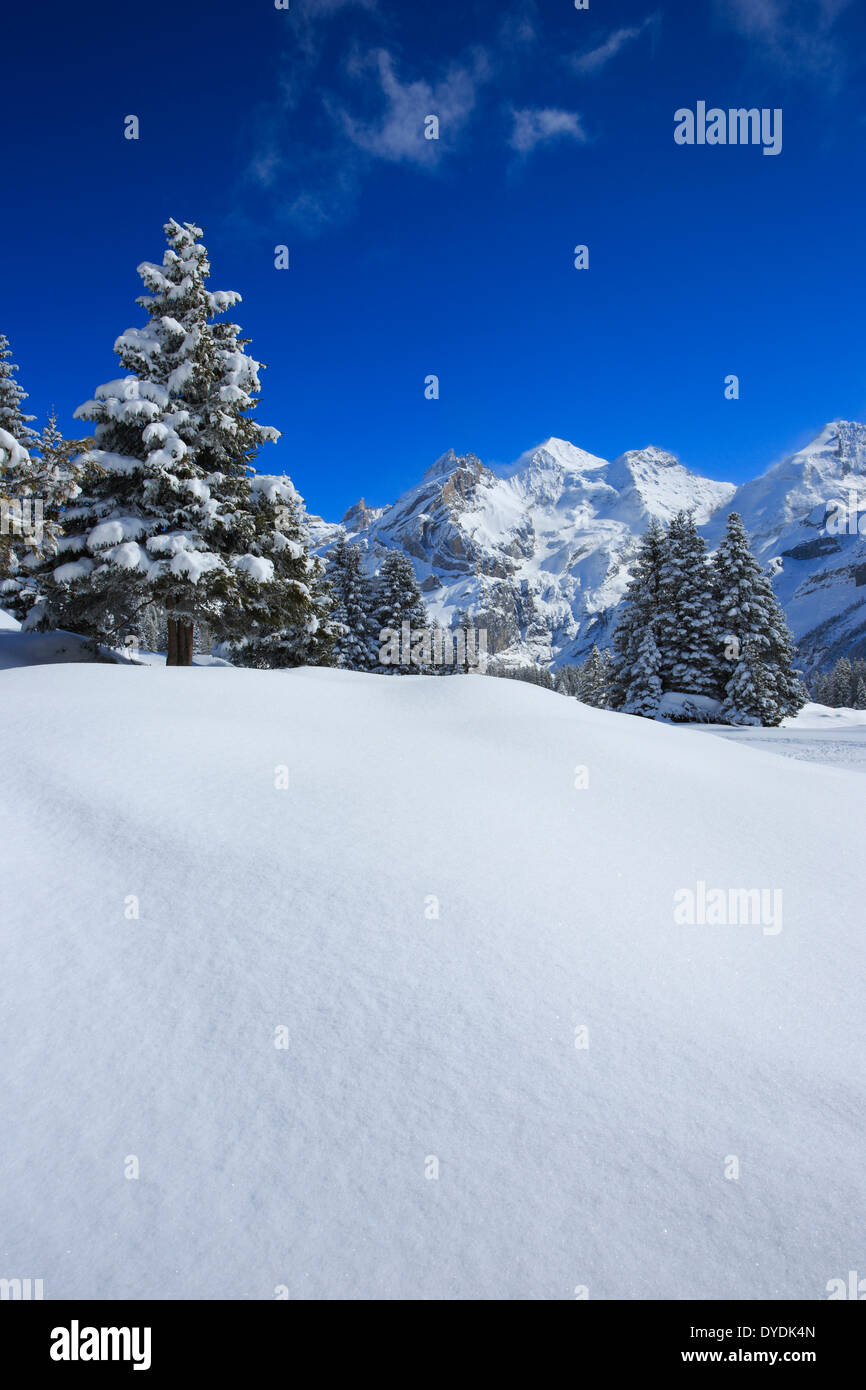 Alps Alpine panorama view mountain mountains mountain massif mountain ...