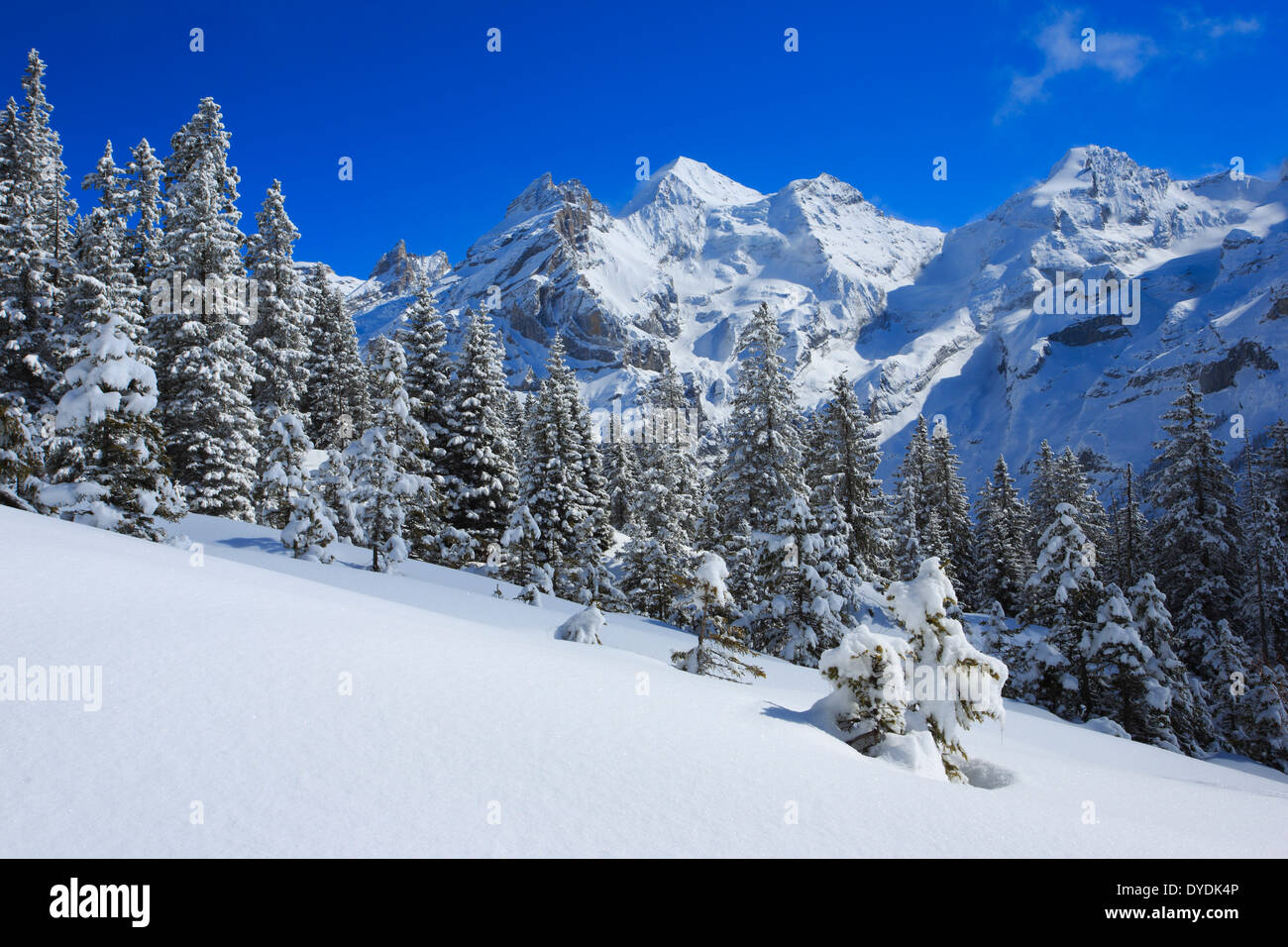 Alps Alpine panorama view mountain mountains mountain massif mountain ...