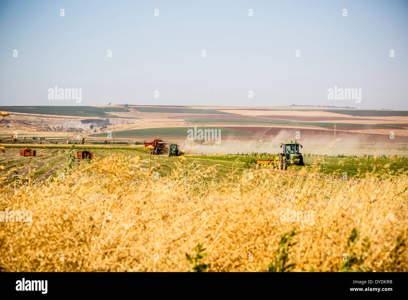 Israeli agriculture hi-res stock photography and images - Alamy